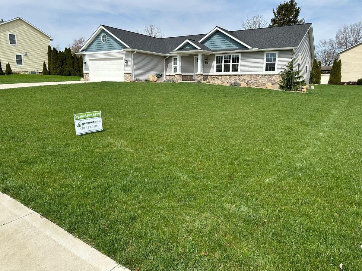 The Greener Grass Gallery - Greener Grass