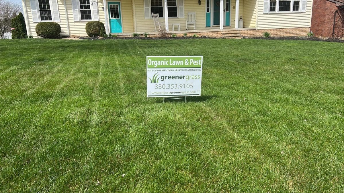 The Greener Grass Gallery - Greener Grass