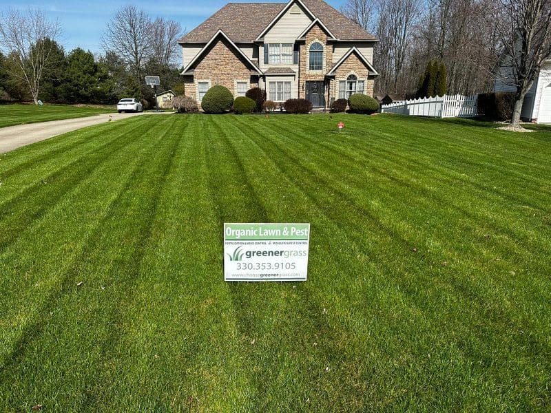 The Greener Grass Gallery - Canton's Top Lawn Care & Pest Control ...